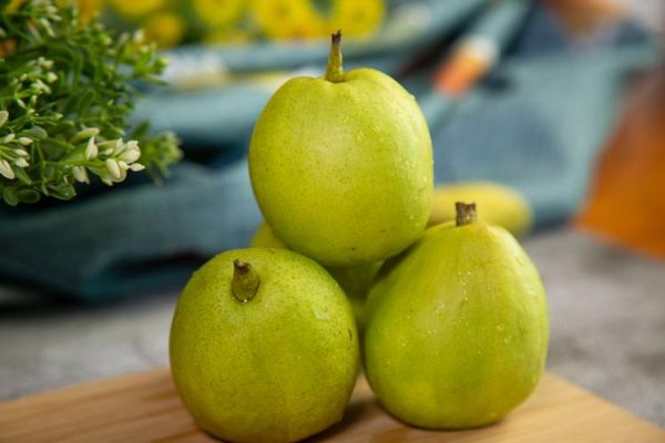 什么水果止咳化痰效果最好_止咳化痰最快的水果-第1张图片-山城妙识