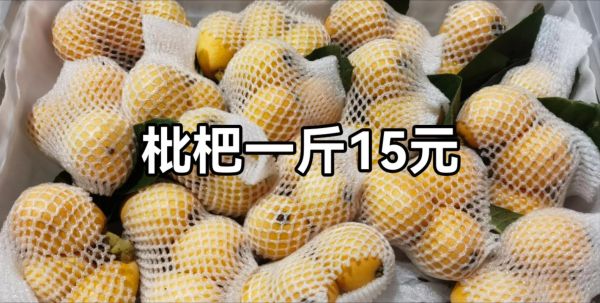 什么水果止咳化痰效果最好_止咳化痰最快的水果-第3张图片-山城妙识