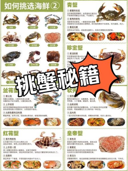 螃蟹帮秒杀官网怎么抢_螃蟹帮秒杀官网几点更新-第1张图片-山城妙识 螃蟹帮秒杀官网怎么抢_螃蟹帮秒杀官网几点更新-第1张图片-山城妙识