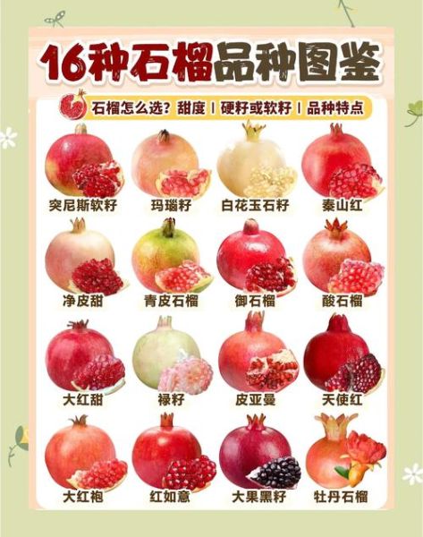 石榴的功效与作用_石榴的营养价值有哪些-第1张图片-山城妙识