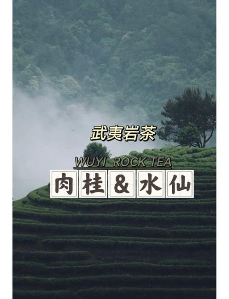 肉桂和水仙哪个档次高_岩茶选购必看-第1张图片-山城妙识