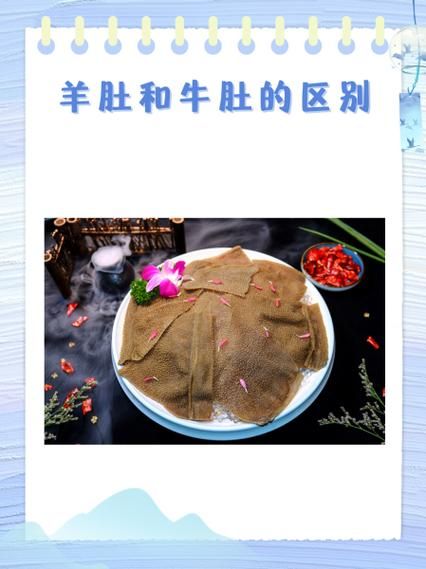 牛肚有几种_牛肚分类及区别-第3张图片-山城妙识