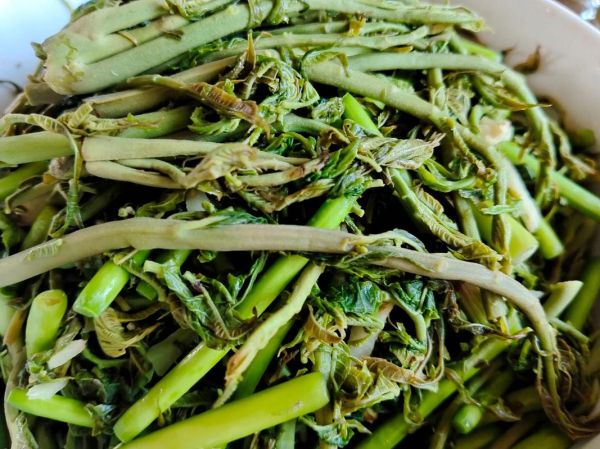 香椿腌制方法窍门_香椿怎么腌制好吃-第1张图片-山城妙识