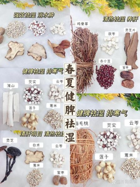 除湿汤的功效与作用_适合哪些人喝-第2张图片-山城妙识 除湿汤的功效与作用_适合哪些人喝-第2张图片-山城妙识