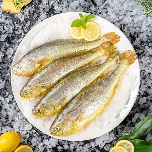 深海鱼有哪些种类_深海鱼营养价值高吗-第3张图片-山城妙识 深海鱼有哪些种类_深海鱼营养价值高吗-第3张图片-山城妙识