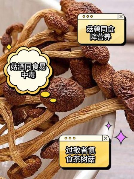 茶树菇不能和什么一起吃_茶树菇的禁忌有哪些-第1张图片-山城妙识