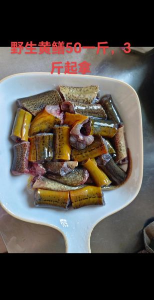 黄鳝鱼多少钱一斤_黄鳝鱼价格行情-第1张图片-山城妙识