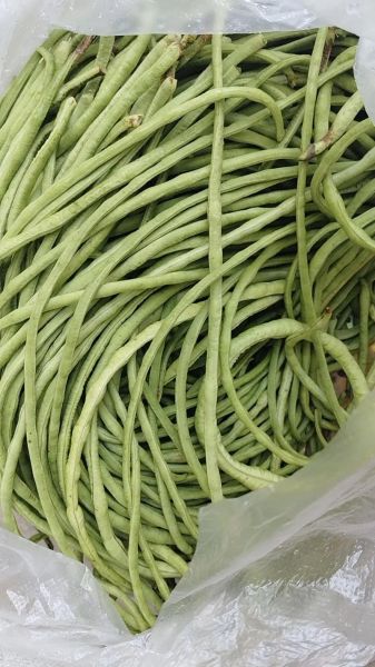 豇豆角可以生吃吗_生吃豇豆角安全吗-第1张图片-山城妙识