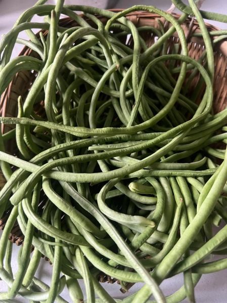 豇豆角可以生吃吗_生吃豇豆角安全吗-第2张图片-山城妙识