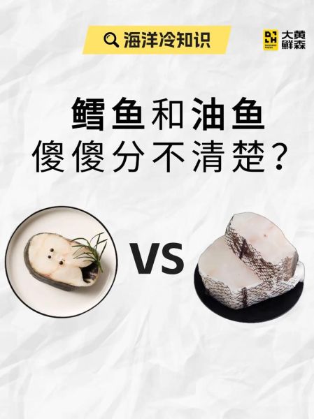 银鳕鱼和真鳕鱼有什么区别_哪个更适合宝宝吃-第1张图片-山城妙识