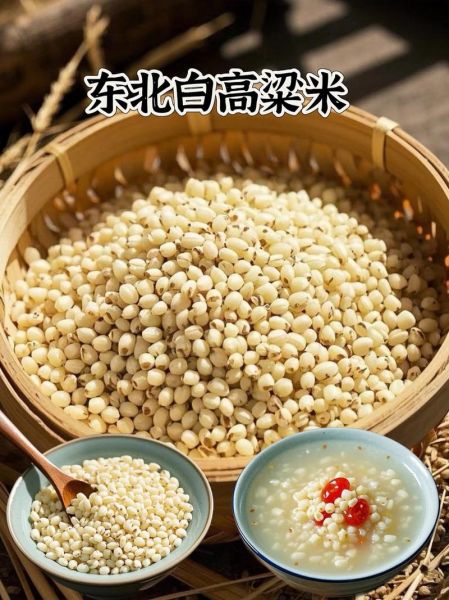 高粱米粥怎么煮_高粱米粥的功效与作用-第2张图片-山城妙识 高粱米粥怎么煮_高粱米粥的功效与作用-第2张图片-山城妙识