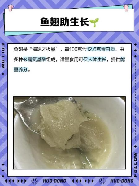 鱼翅哪些人不宜吃_痛风孕妇能吃吗-第2张图片-山城妙识 鱼翅哪些人不宜吃_痛风孕妇能吃吗-第2张图片-山城妙识