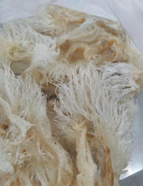 鱼翅哪些人不宜吃_痛风孕妇能吃吗-第1张图片-山城妙识 鱼翅哪些人不宜吃_痛风孕妇能吃吗-第1张图片-山城妙识