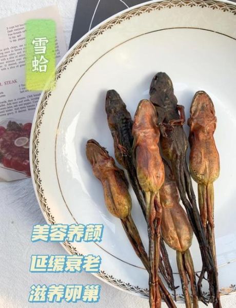 雪蛤和燕窝哪个好_雪蛤燕窝功效区别-第1张图片-山城妙识