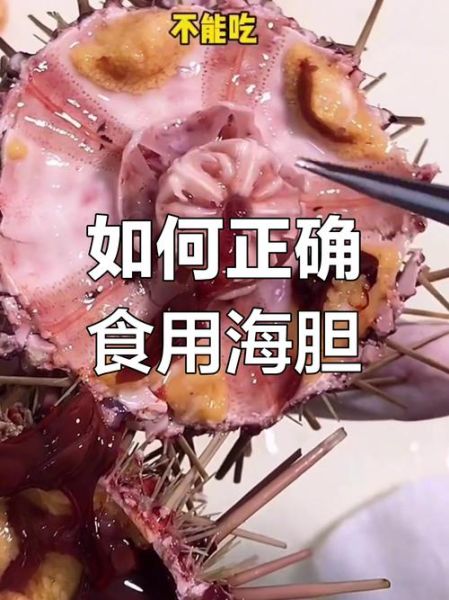 海胆为什么那么难吃_海胆腥味重怎么办-第1张图片-山城妙识