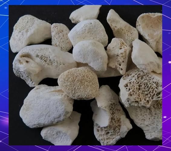 龙骨是什么部位_龙骨在中医里指哪块骨头-第2张图片-山城妙识 龙骨是什么部位_龙骨在中医里指哪块骨头-第2张图片-山城妙识