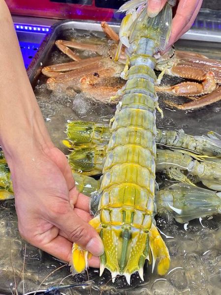 冷冻皮皮虾怎么清洗_冷冻皮皮虾的做法步骤-第2张图片-山城妙识 冷冻皮皮虾怎么清洗_冷冻皮皮虾的做法步骤-第2张图片-山城妙识