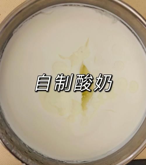 手工酸奶有什么好处_自制酸奶能减肥吗-第3张图片-山城妙识 手工酸奶有什么好处_自制酸奶能减肥吗-第3张图片-山城妙识