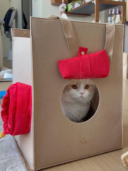 麦当劳猫窝怎么领取_麦当劳猫窝多少钱-第3张图片-山城妙识