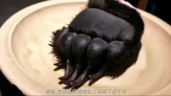 熊掌的做法_熊掌怎么做好吃-第3张图片-山城妙识