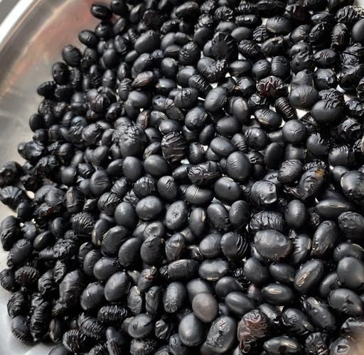 吃醋泡黑豆多久白发变黑_真的有效吗-第1张图片-山城妙识 吃醋泡黑豆多久白发变黑_真的有效吗-第1张图片-山城妙识