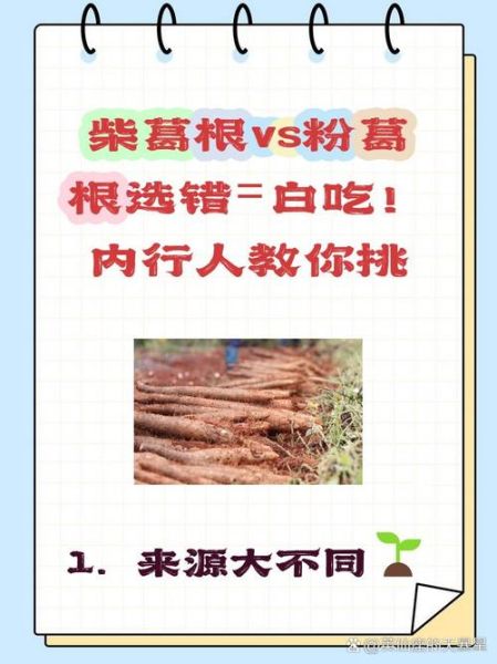 粉葛根和柴葛根的区别_哪个更适合日常养生-第1张图片-山城妙识