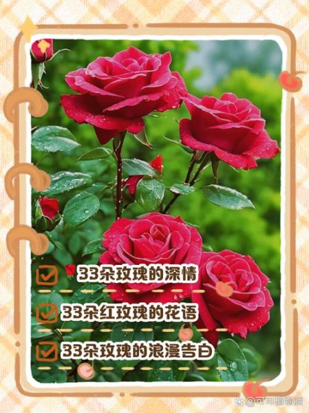 红玫瑰花语寓意_送几朵代表什么-第2张图片-山城妙识