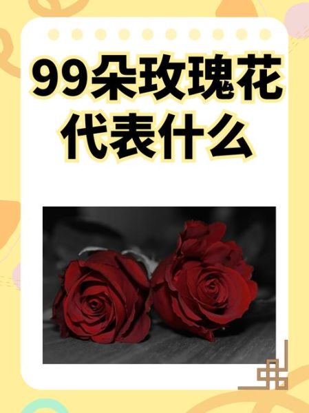 红玫瑰花语寓意_送几朵代表什么-第3张图片-山城妙识