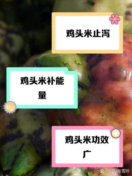 吃鸡头米的好处和坏处_哪些人不能吃-第2张图片-山城妙识