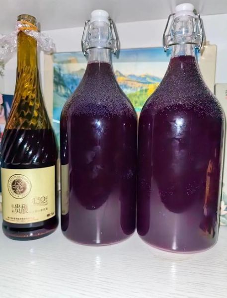 自制野生葡萄酒的正确方法_野生葡萄酿酒常见问题-第2张图片-山城妙识