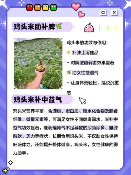吃鸡头米的好处和坏处_哪些人不能吃-第1张图片-山城妙识