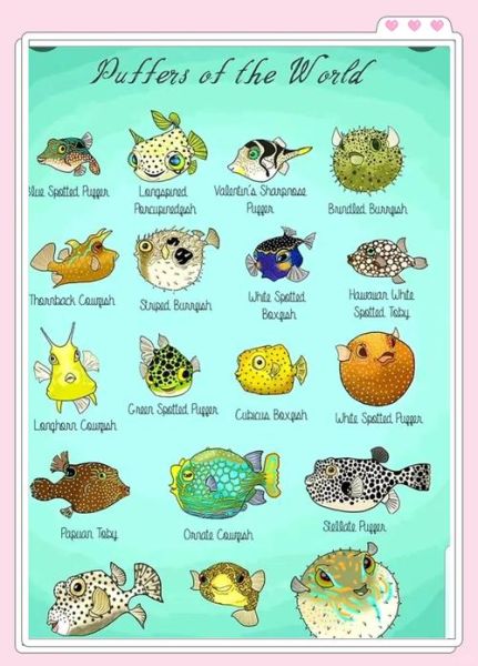 河豚是海里的还是河里的_淡水河豚与海水河豚区别-第3张图片-山城妙识