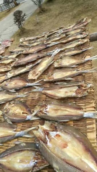 翘嘴白鱼多少钱一斤_翘嘴白鱼价格行情-第1张图片-山城妙识