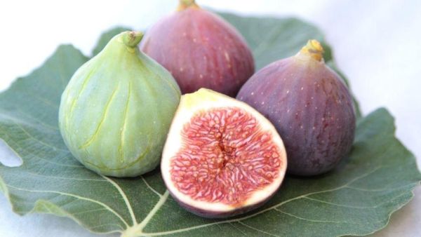 孕妇补血的水果有哪些_孕妇补血吃什么水果好-第2张图片-山城妙识