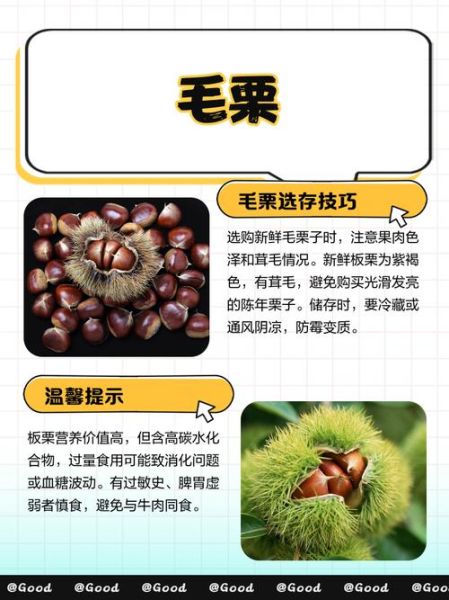 毛栗子热量高吗_毛栗子减肥能吃吗-第1张图片-山城妙识 毛栗子热量高吗_毛栗子减肥能吃吗-第1张图片-山城妙识