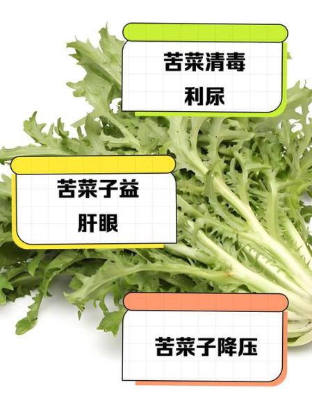 苦菜子晒干泡水喝好不好_苦菜子晒干泡水的功效与禁忌-第3张图片-山城妙识