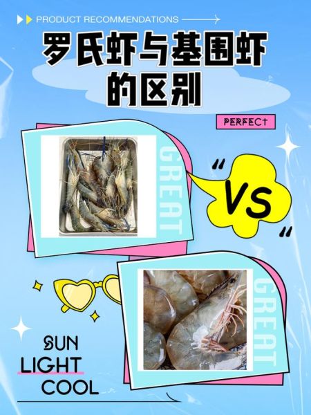 螺丝虾和基围虾的区别_哪个更好吃-第2张图片-山城妙识