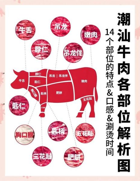 潮汕火锅哪里正宗_潮汕牛肉火锅怎么选部位-第1张图片-山城妙识