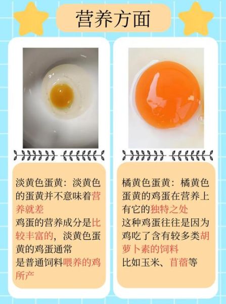 一个鸡蛋黄的热量_减肥能吃蛋黄吗-第3张图片-山城妙识