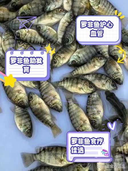 罗非鱼养殖水温多少合适_罗非鱼养殖技术要点-第1张图片-山城妙识 罗非鱼养殖水温多少合适_罗非鱼养殖技术要点-第1张图片-山城妙识