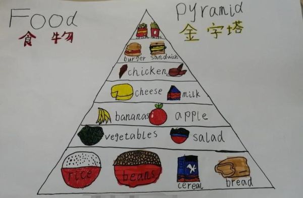 食物金字塔教案怎么写_食物金字塔教学目标有哪些-第1张图片-山城妙识 食物金字塔教案怎么写_食物金字塔教学目标有哪些-第1张图片-山城妙识