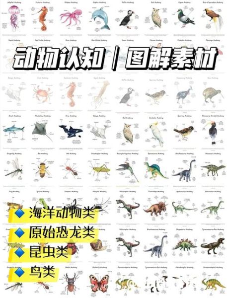 300种动物名称大全_如何快速记忆-第3张图片-山城妙识 300种动物名称大全_如何快速记忆-第3张图片-山城妙识