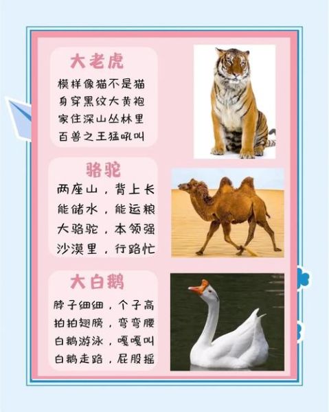 300种动物名称大全_如何快速记忆-第2张图片-山城妙识 300种动物名称大全_如何快速记忆-第2张图片-山城妙识