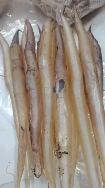 鱼肚煲汤的做法大全_鱼肚煲汤怎么做好吃-第1张图片-山城妙识 鱼肚煲汤的做法大全_鱼肚煲汤怎么做好吃-第1张图片-山城妙识