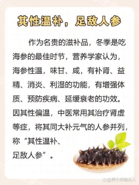 海参主要补什么_海参的功效与作用-第2张图片-山城妙识