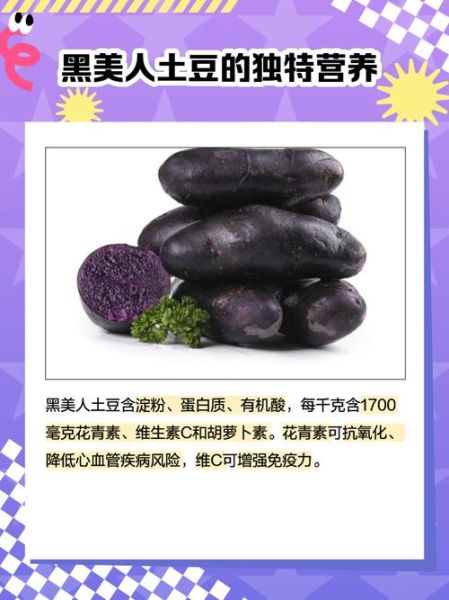 黑美人土豆多少钱一斤_黑美人土豆价格行情-第3张图片-山城妙识 黑美人土豆多少钱一斤_黑美人土豆价格行情-第3张图片-山城妙识