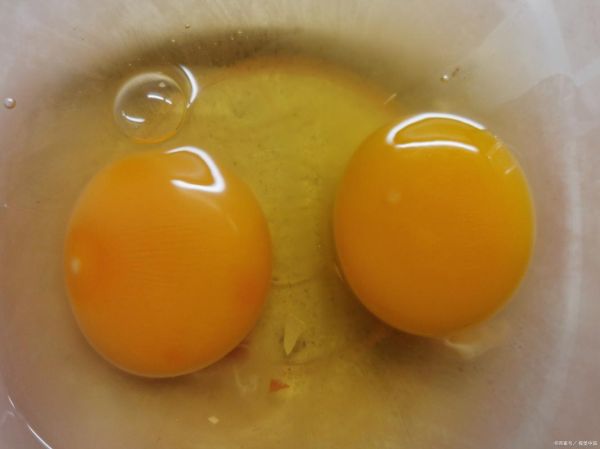 鸡蛋返生实验_是真的吗-第3张图片-山城妙识