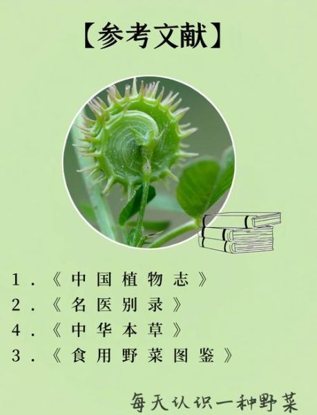 紫花苜蓿草什么时候种_紫花苜蓿草种植时间-第1张图片-山城妙识