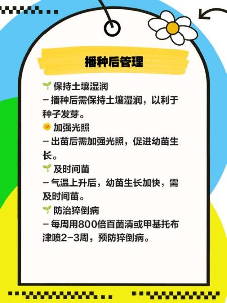 长春花种子怎么种_长春花种子发芽温度-第1张图片-山城妙识 长春花种子怎么种_长春花种子发芽温度-第1张图片-山城妙识