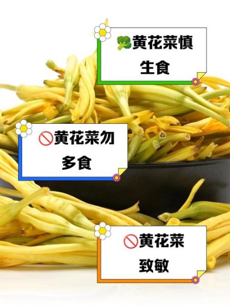 黄花菜什么人不能吃_禁忌人群有哪些-第3张图片-山城妙识 黄花菜什么人不能吃_禁忌人群有哪些-第3张图片-山城妙识